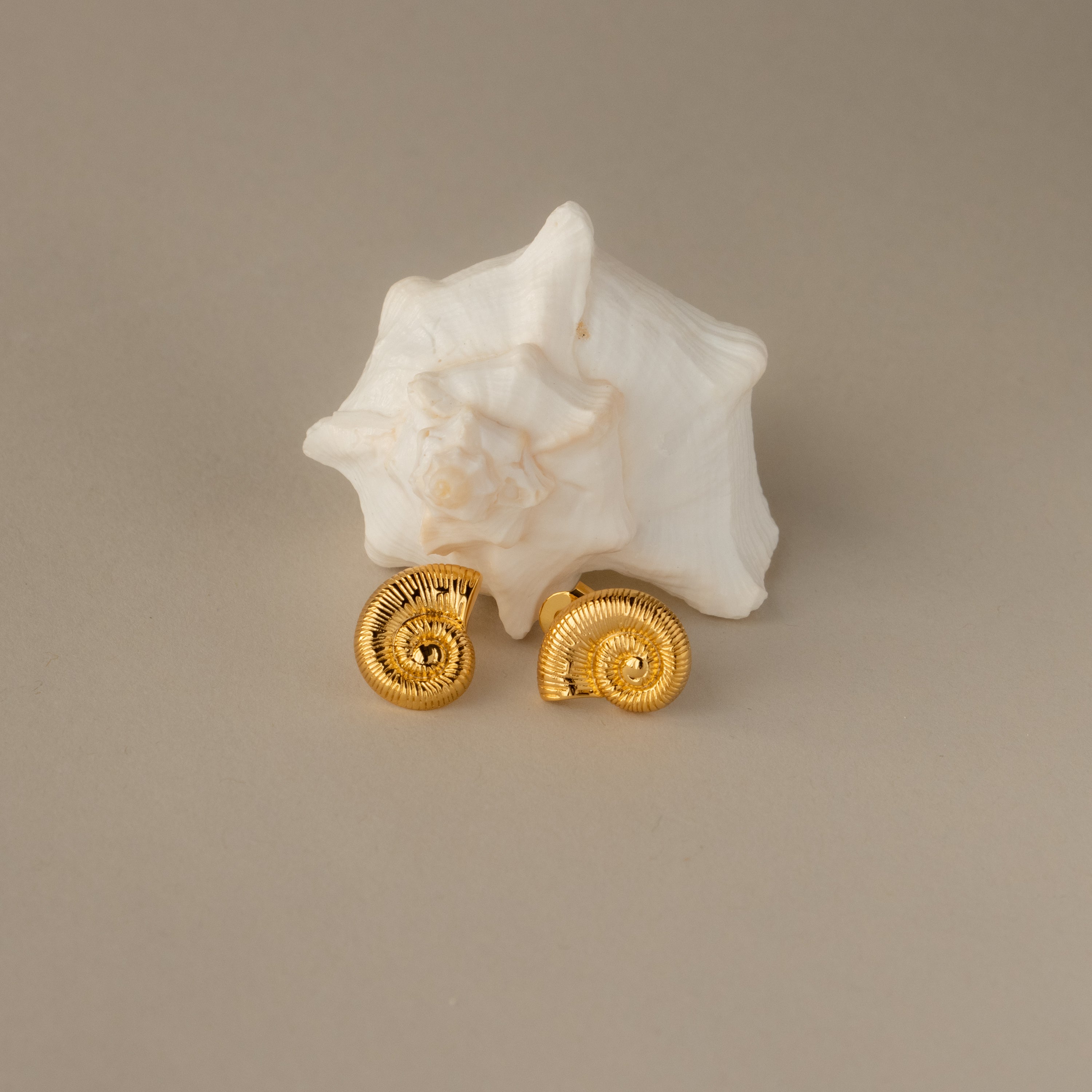 Nautilus Shell Stud Earrings | Caitlyn Minimalist